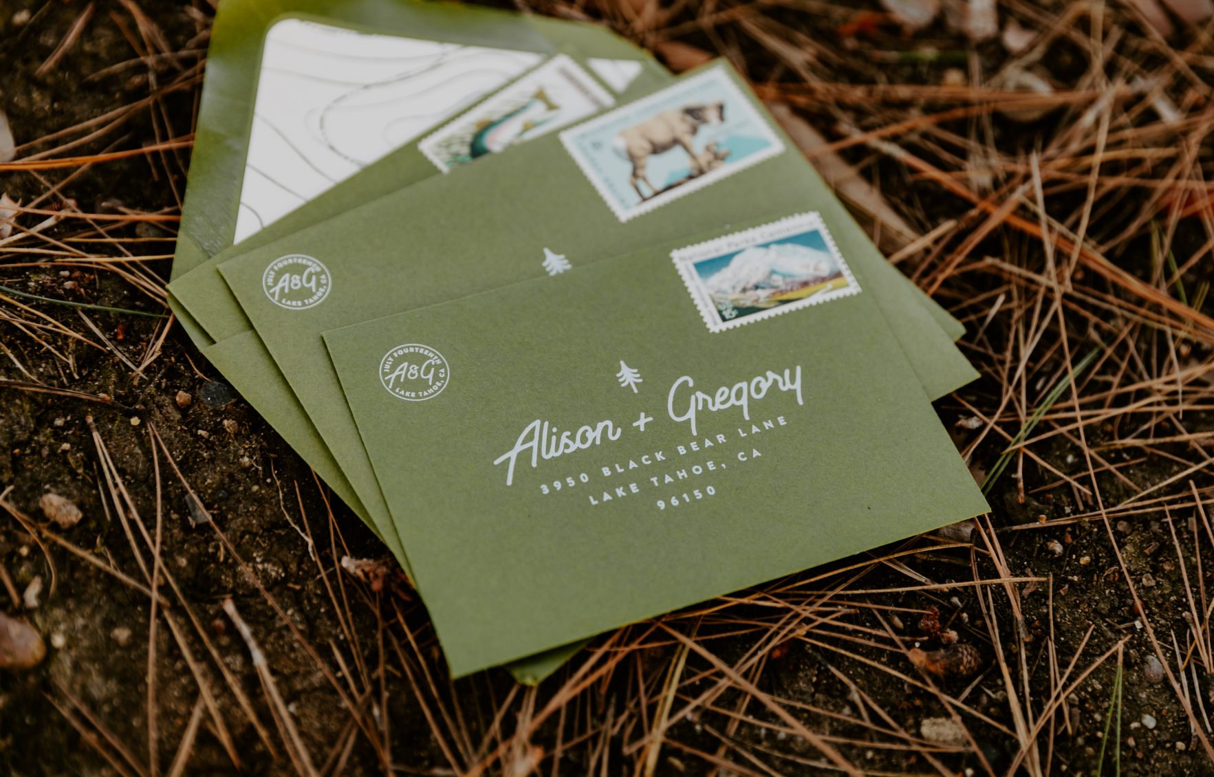 Sample Kits — Wide Eyes Paper Co. — Unique Paper Goods for Weddings ...